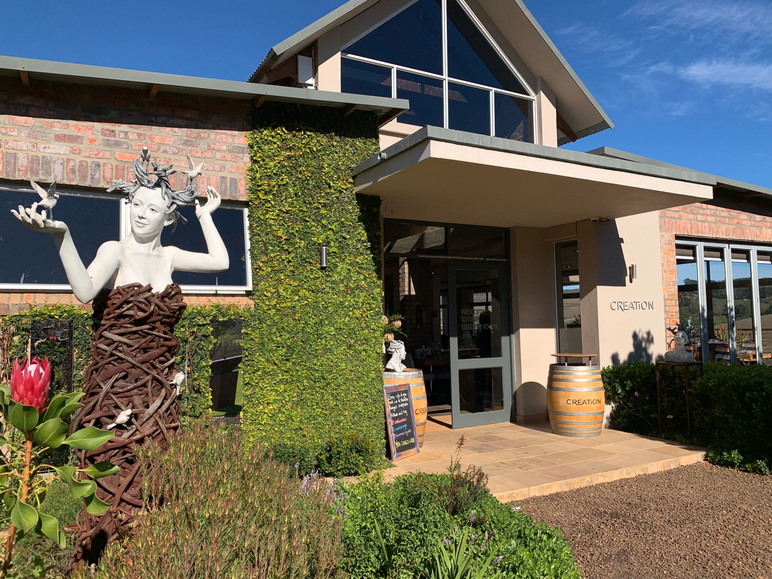 Discover the Magic of Creation Wine Farm – Like a Tourist